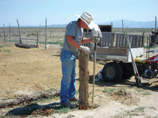 Easy DIY: How to Build a Hitching Post - Grit